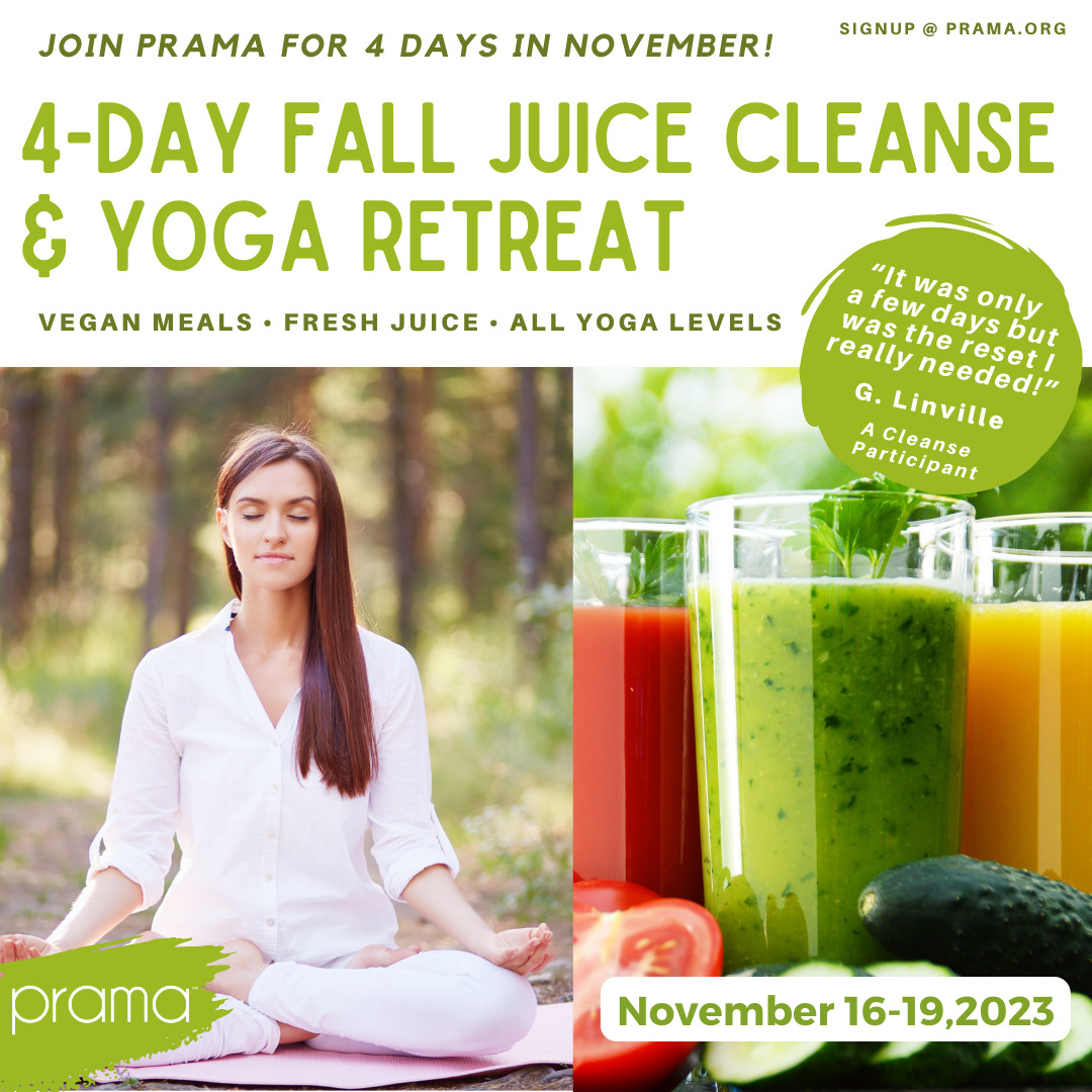 4 Day Juice Cleanse & Yoga Retreat - Am Yoga Naturopathy